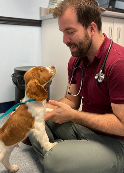 Meet Our Veterinarians - Carleton Place, Ontario